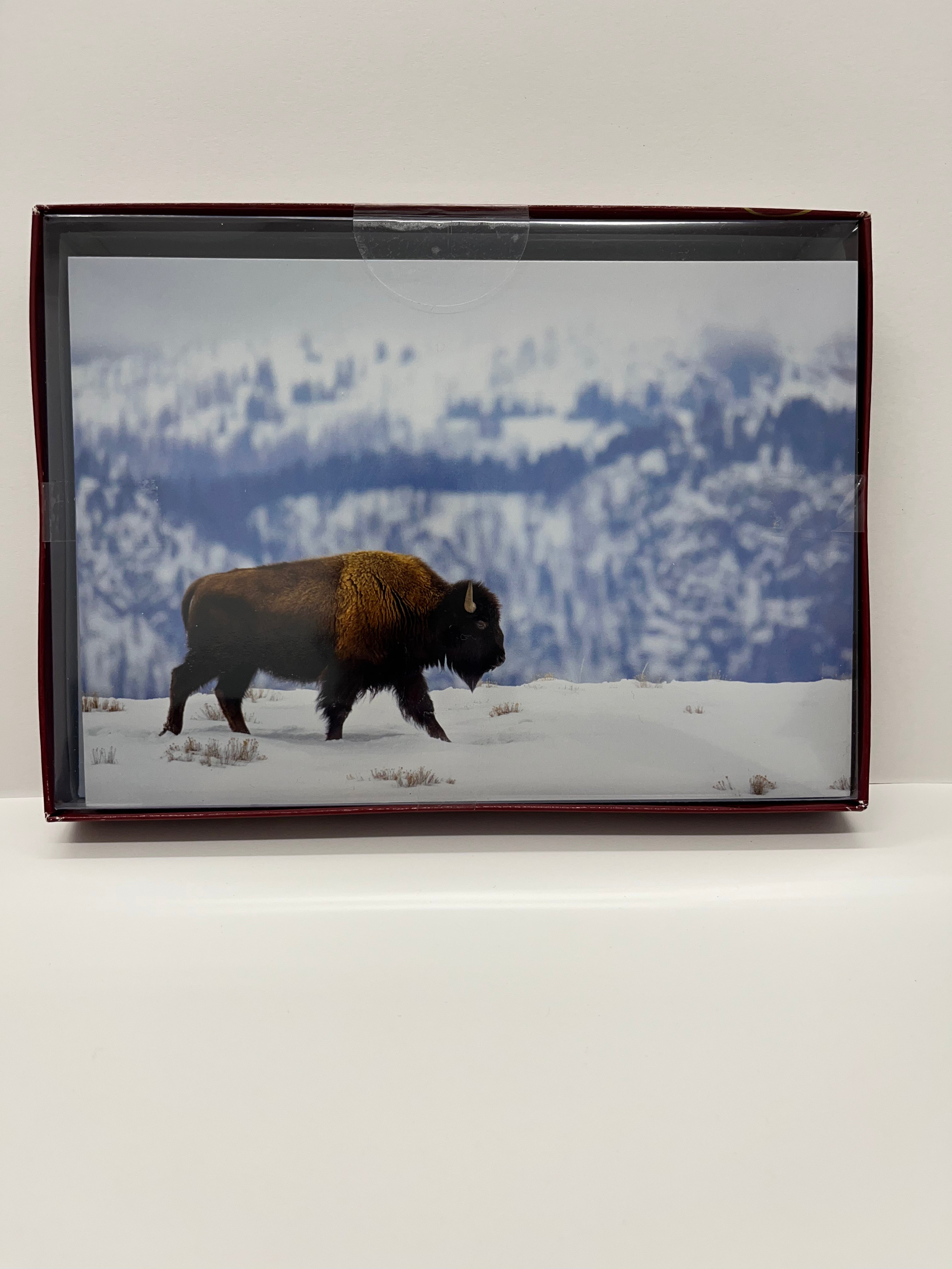Bison Holiday boxed greeting cards – McKees’s Indian Store